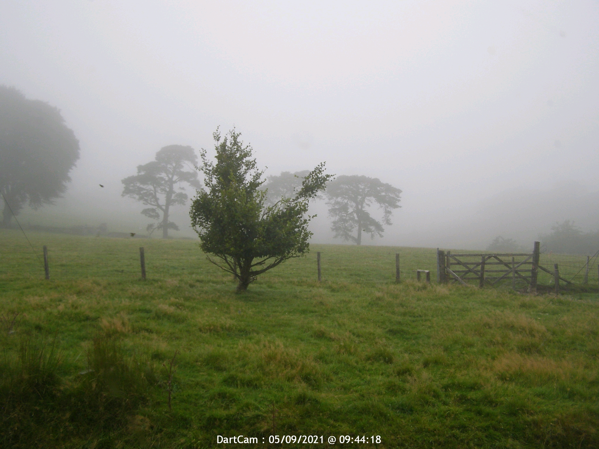 Live HD Webcam Dartmoor: Dartmoor Cam,Dartmoor: Dartmoor Cam Webcam - worldlivecamera.com