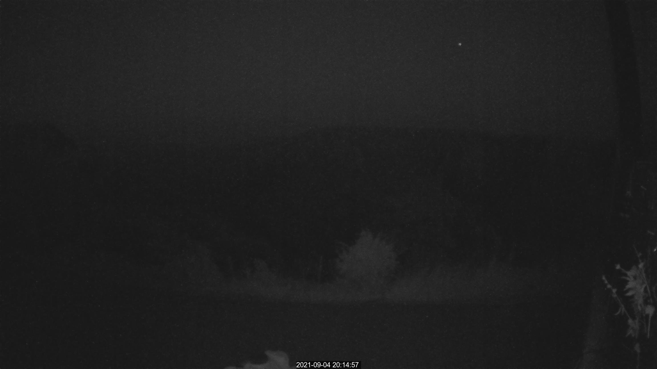 Live HD Webcam Gold Run, California: Moody Ridge,Gold Run, California ...